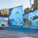 Killer whale environment announcement image Jim Atchison - Coaster Kings