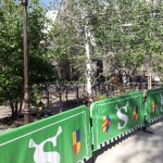 20150325_160806 (Large) - Coaster Kings