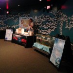 imagel (Large) - Coaster Kings