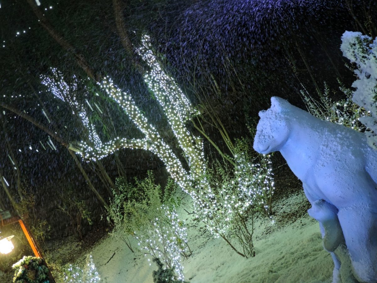 Holiday in the Park Opens at Six Flags Magic Mountain - 2016 - Coaster ...