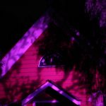 IMG_3015 - Coaster Kings