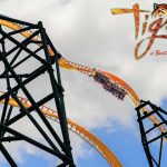 Tigris Busch Gardens Tampa Bay - Coaster Kings