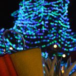 IMG_2311 - Coaster Kings