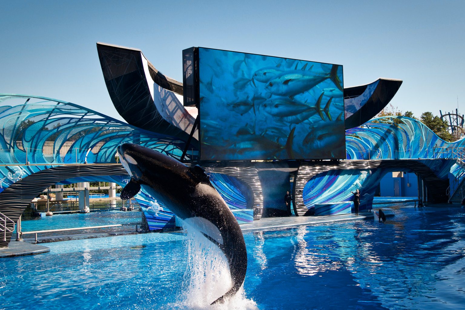 SeaWorld Orlando Update - Orca Encounter, Ice Breaker and more ...